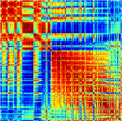 How Patterns of Brian Activity Direct Specific Body Movements ...